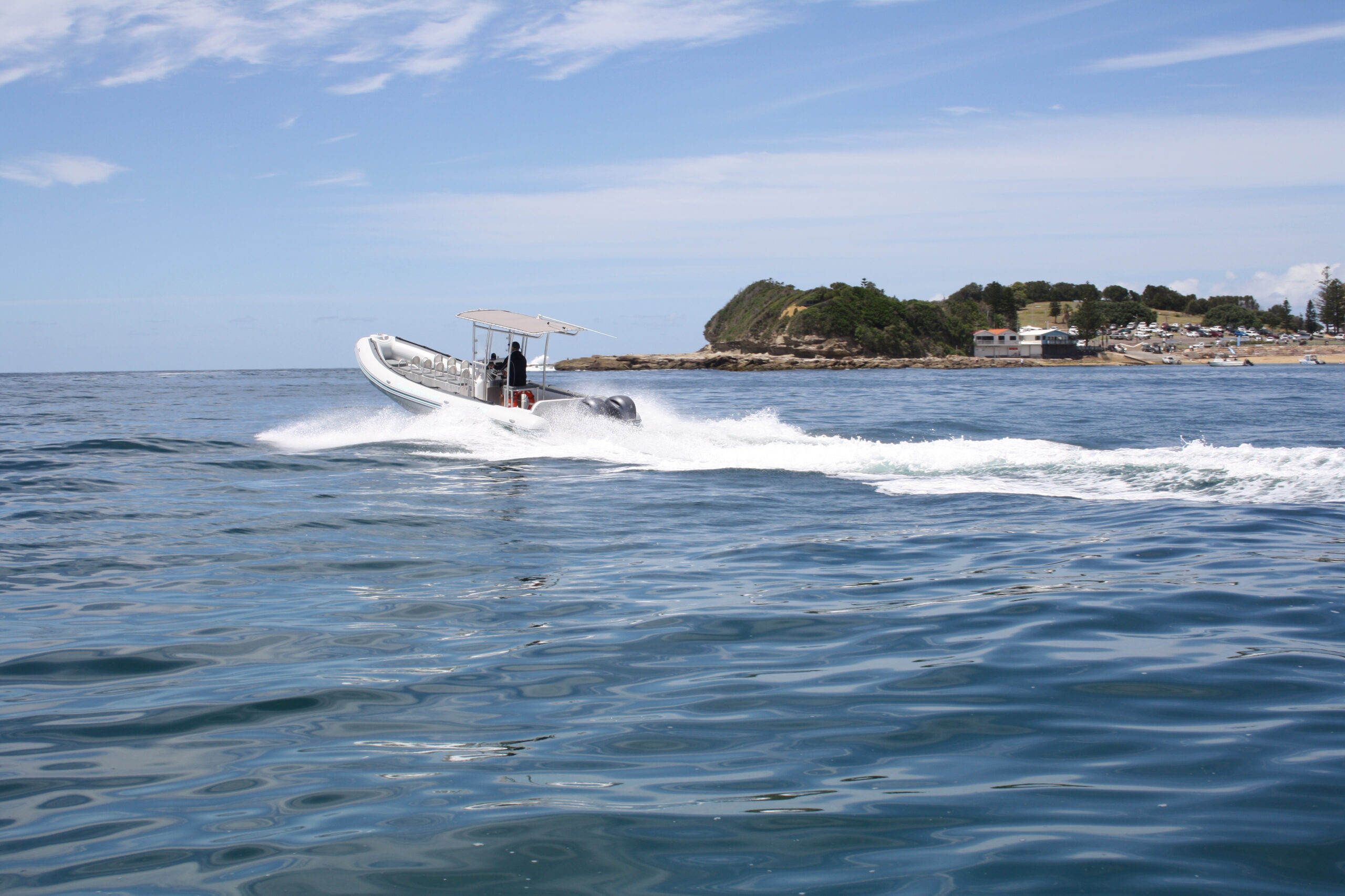 Terrigal Ocean Tours makes a Splash! - Terrigal Ocean Tours