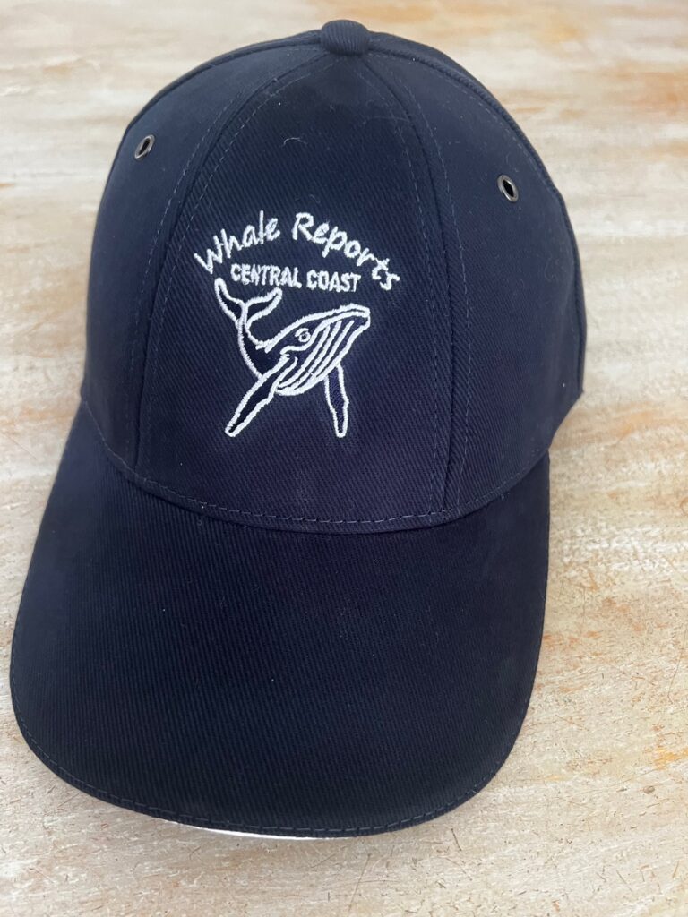 Whale Merchandise - Terrigal Ocean Tours