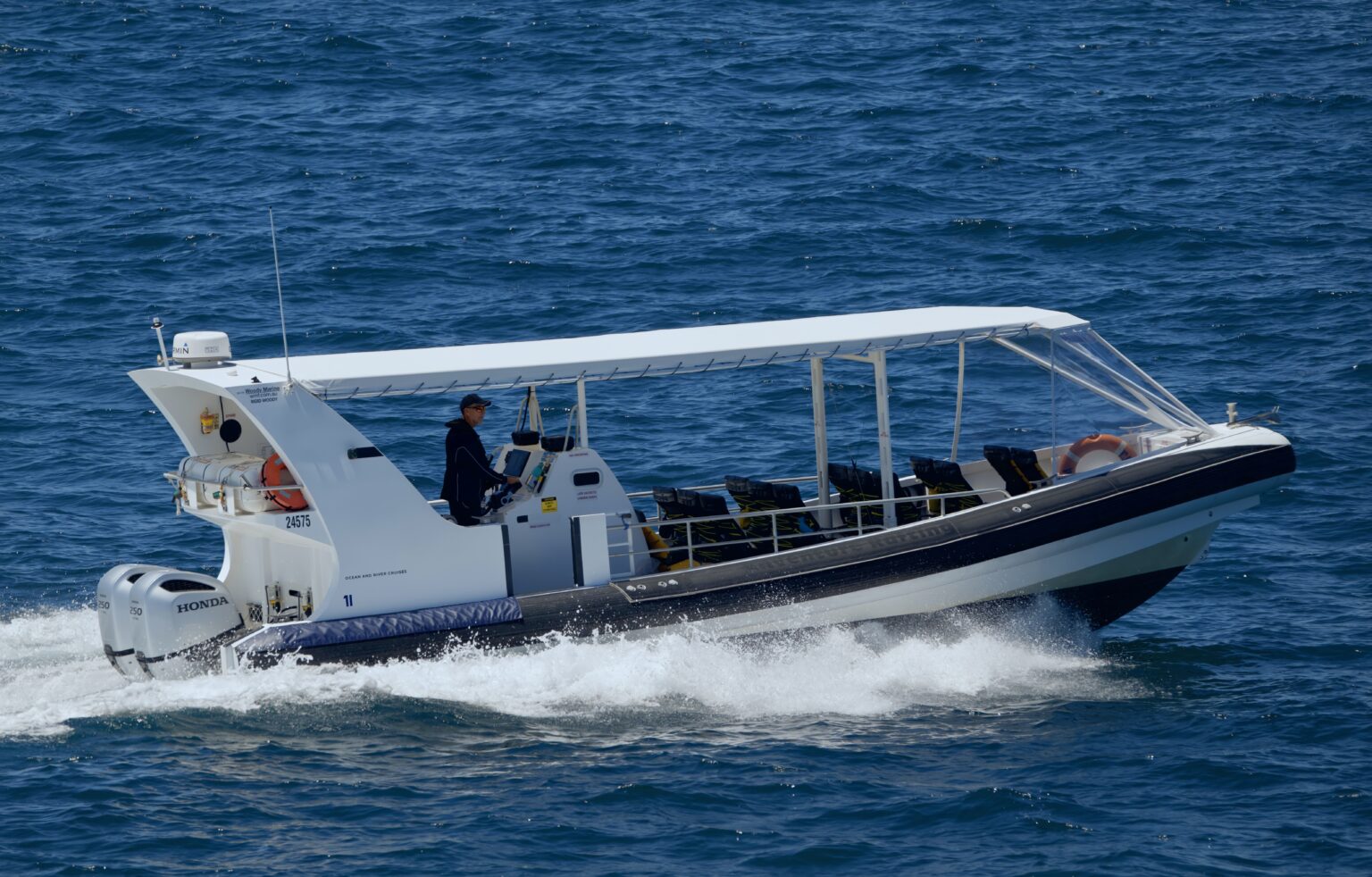 Whale Watching Central Coast Whale Watching
